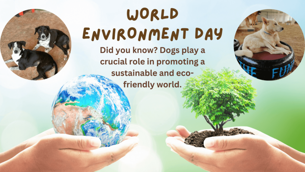 Paws for a Greener Planet: How Dogs Can Help Protect Our Environment ...